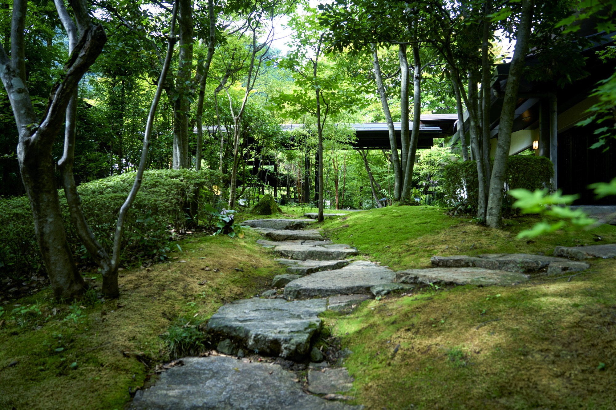 【ゆったりとした時間を過ごす大人の温泉リゾートホテル】「TAOYA川治」2025年2月グランドオープン | NEWSCAST