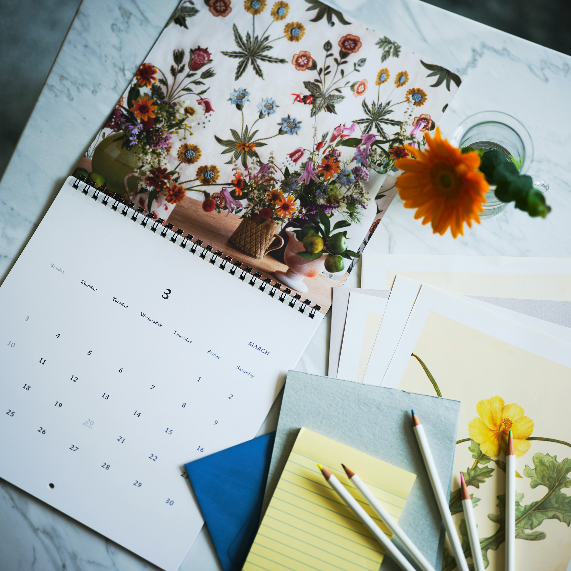 「モリスカレンダー2024」販売スタート！ | NEWSCAST