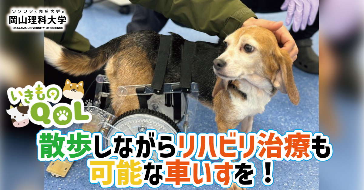 【岡山理科大学】散歩しながらリハビリ治療も可能な車いすを！【いきものQOL #6】 | NEWSCAST