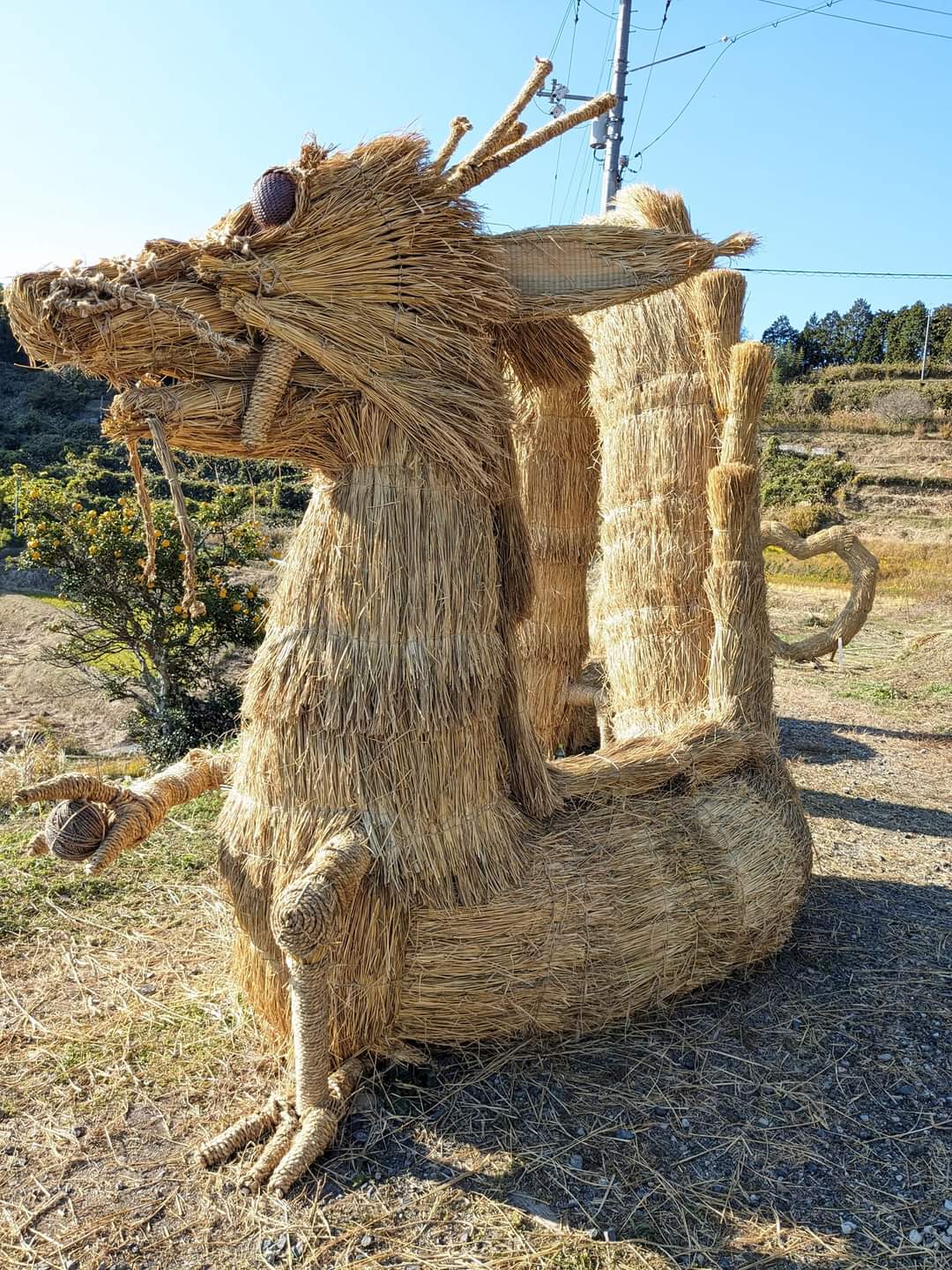 「上籾棚田テラス 籾庵」の最新情報 vol.13 | NEWSCAST