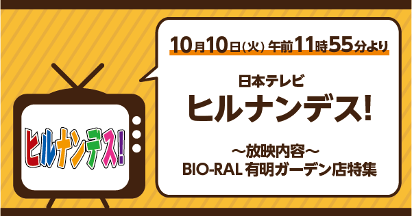 10 10(火)にビオラルが日本テレビ「ヒルナンデス!」で紹介されます! Newscast