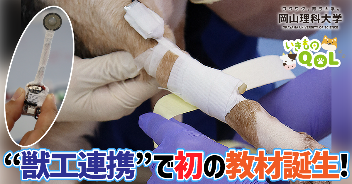 【岡山理科大学】“獣工連携”で初の教材誕生！【いきものQOL #7】 | NEWSCAST